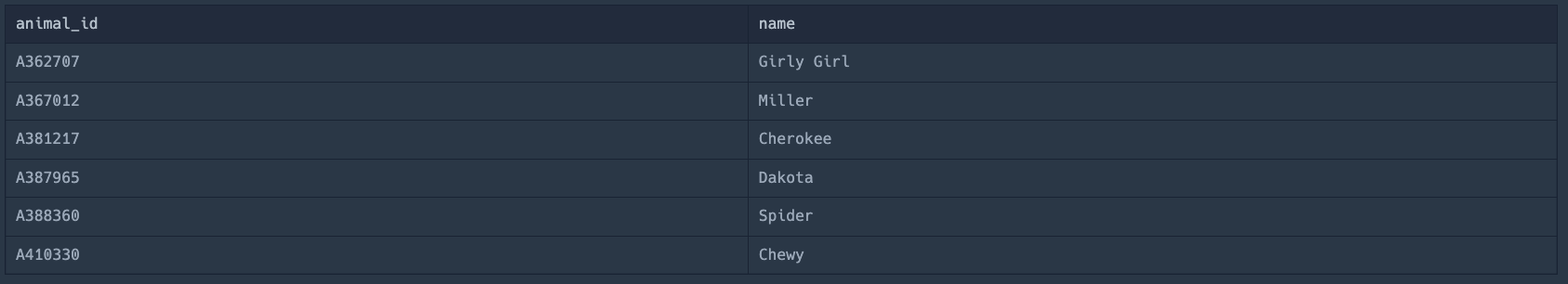 아픈 동물 찾기 | tonyleekorea