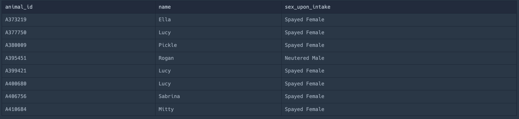 루시와 엘라 찾기 | tonyleekorea